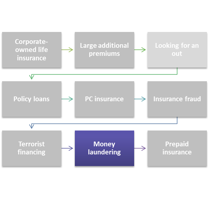 Some Common Money Laundering Schemes