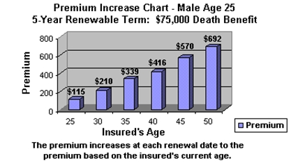 Term Insurance
