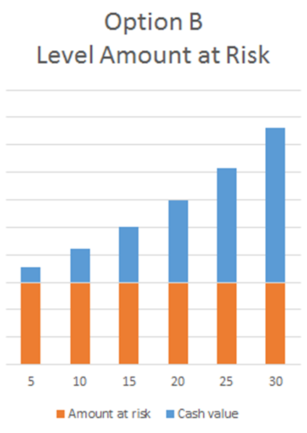 Variable Life Insurance