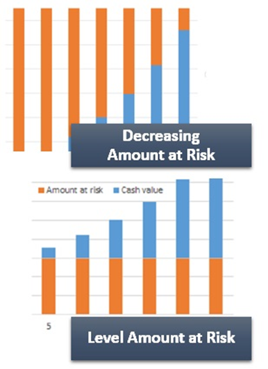 Indexed Life Insurance